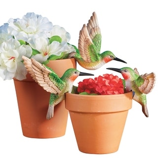 Set of 3 Sculpted Hummingbird Decorative Planter Pot Hangers - NO SIZE ...