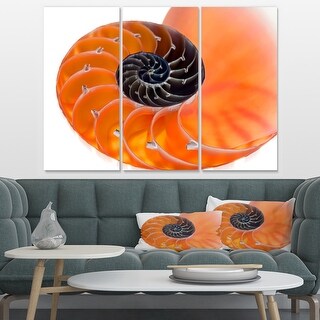 Designart "Orange Nautilus Shell" Abstract Canvas Art Print - 36x28 - 3 ...
