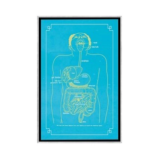 iCanvas "The Digestive System" by ChartSmartDecor Framed - Bed Bath ...