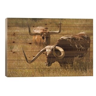 Texas Longhorn, Custer, South Dakota, Usa Print On Wood by Michel ...