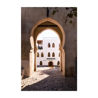 Tangier Tanger Tetouan Al Hoceima Morocco Animals Art Print/Poster ...