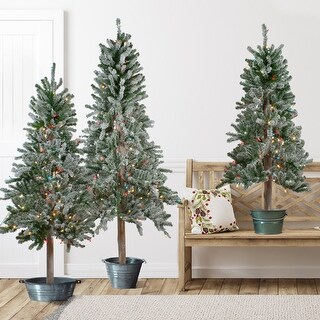 Set of 3 Flocked Alpine Artificial Christmas Trees 5' - Multi Lights ...