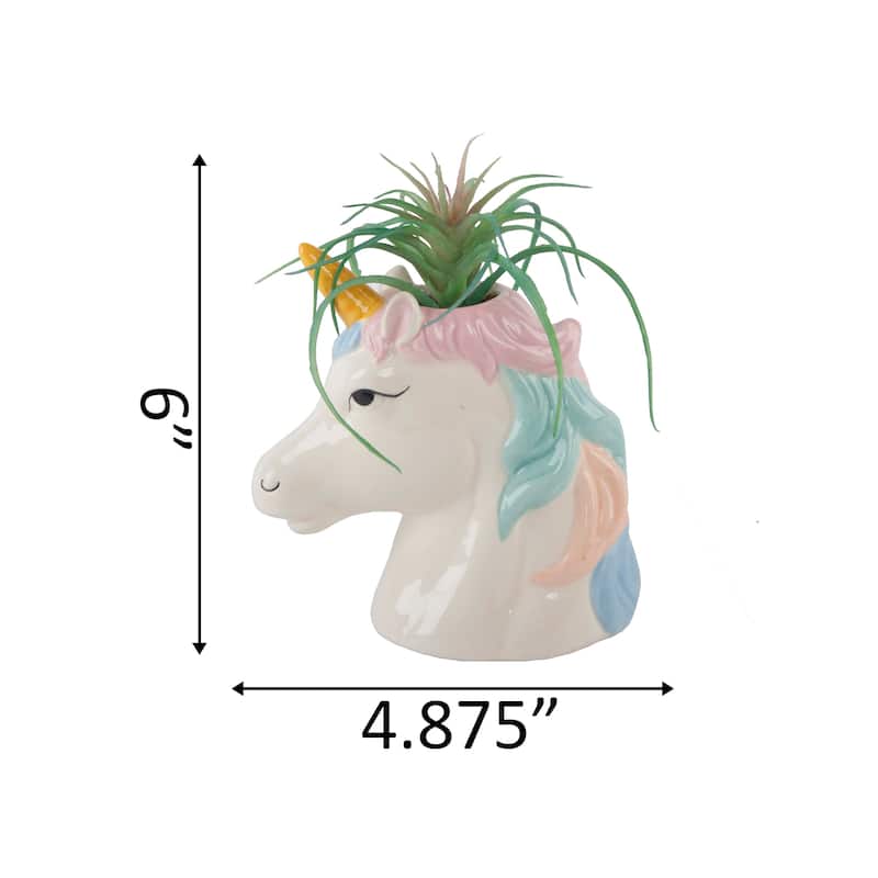 Succulent in 6" Tall Multi Color Ceramic Unicorn Pot - ONE-SIZE ...