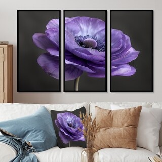 Black And Purple Ranunculus Nature Nuance II - Ranunculus Framed Wall ...