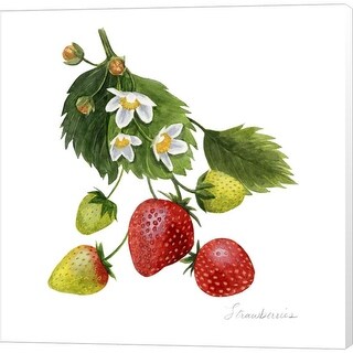 Grace Popp 'Strawberry Study I' Canvas Art - Bed Bath & Beyond - 31597326