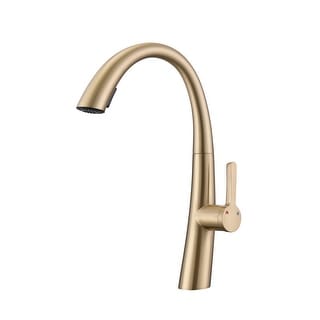 Single Handle Stainless Steel Pull Out Kitchen Faucet - Bed Bath ...