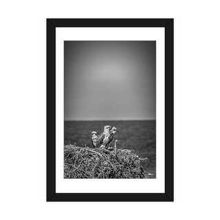 iCanvas "Eagle Eyes" by Graham Earnshaw PFA - Bed Bath & Beyond - 37297582