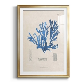 Blue Marine Algae IX Premium Framed Print - Ready to Hang - Bed Bath ...