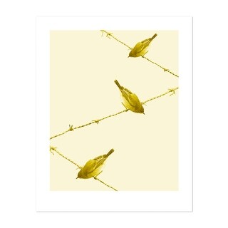 Monochrome Yellow warblers on the wire Photography Art Print/Poster ...