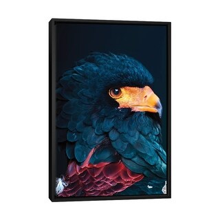 iCanvas "Bateleur Eagle" by Wouter Rikken Framed Canvas Print - Bed ...