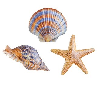 Coastal Seashell Metal Wall Decor - Set of 3 - Bed Bath & Beyond - 37683730