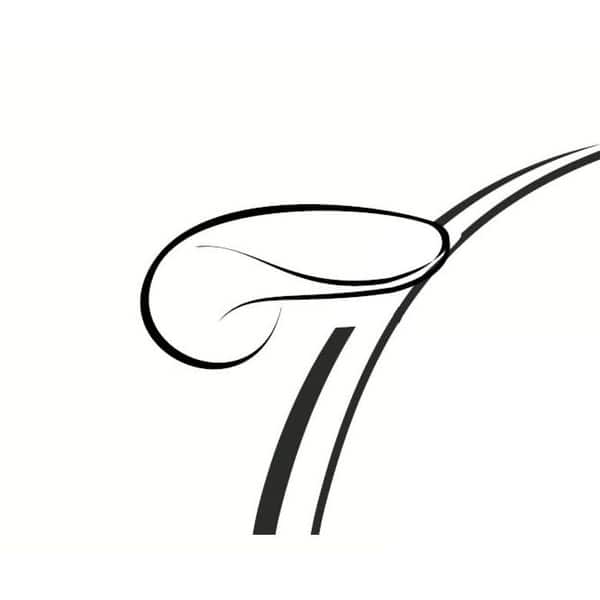 American Standard TRIP LEV ASSY-RIGHT HAND-45 D- 4029/4072 - White ...