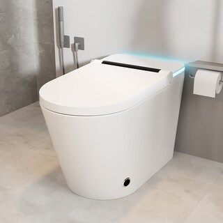 Hygienic Toilet Touch-Free Sensor FlushingNight Light Functionality ...