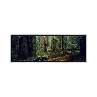 iCanvas "Trees in a forest, Hoh Rainforest, Olympic National Park ...