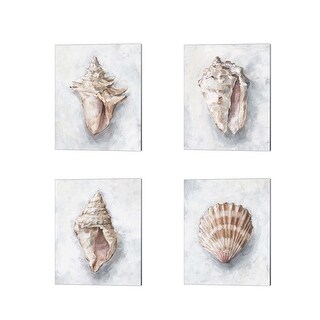 Ethan Harper 'White Shell Study' Canvas Art (Set of 4) - Bed Bath ...