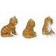 Design Toscano Tabby Kitten Triplets, Baby Cat Statues - Bed Bath ...