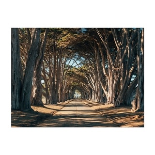 Point Reyes National Seashore Point Reyes Station Art Print/Poster ...