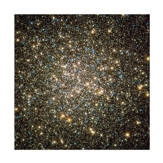 Print Collection 'A Celestial Snow Globe of Stars' Canvas Art - Bed ...