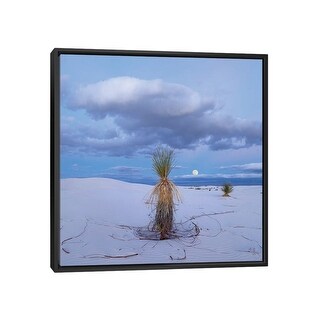 iCanvas "Moon And Soaptree Yucca, White Sands Nm, New Mexico" by Tim ...