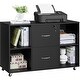 File Cabinet Large Mobile Storage Lateral Filing Cabinet with 2 Drawer ...