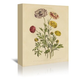Americanflat - 8" x 10" Herbal Botany Xxii V2 by Wild Apple Portfolio ...
