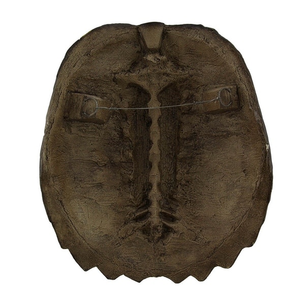 Wall Mounted Faux Aged Brown Plaster Turtle Shell Wall Hanging 10 Inch ...