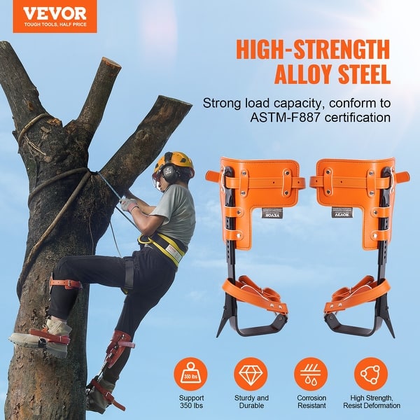 tools arborist use