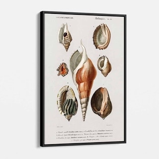 White Seashell Wall Art Canvas 4799 - Bed Bath & Beyond - 39913251