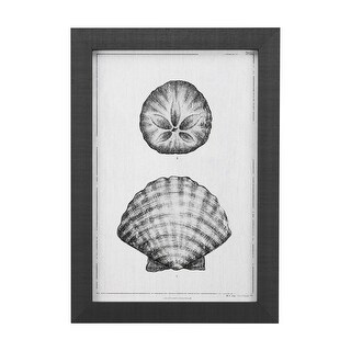 Shell Study I Framed Art Print - Bed Bath & Beyond - 39199410