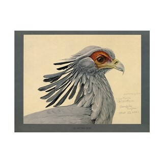 Print Collection 'Abyssinian Secretary Bird' Canvas Art - Bed Bath ...