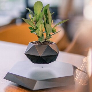 Electric Floating Flower Pot Polygon Plant Planter Office Ornament - D ...
