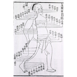Figure With Acupuncture Points And Meridian For Stomach And Foot ...