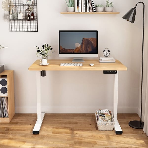FLEXISPOT 48 x 30 Inches Electric Height Adjustable Standing Desk Home ...