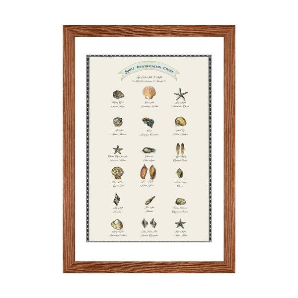 shell identification sheet