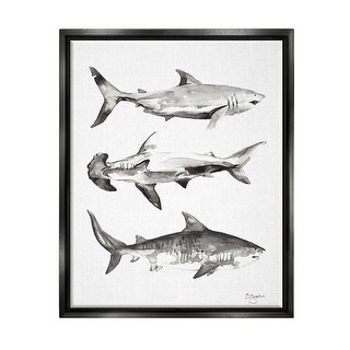 Stupell Nautical Shark Trio Framed Floater Canvas Wall Art Design by ...