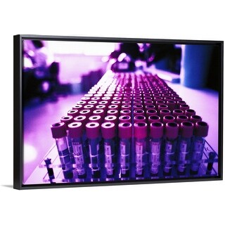 "Close-up of an array of vials on a laboratory counter" Black Float ...