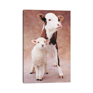iCanvas "Mallowpuff And Romeo I" by Rachael Hale Canvas Print - Bed ...