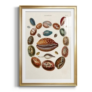 Spiral Shell Formation II Premium Framed Print - Ready to Hang - Bed ...