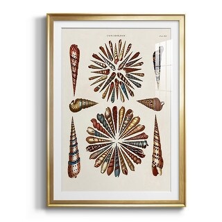 Spiral Shell Formation III Premium Framed Print - Ready to Hang - Bed ...