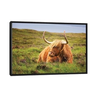 iCanvas "Highland Cow, Scottish Highlands" by Jane Rix Framed Canvas ...