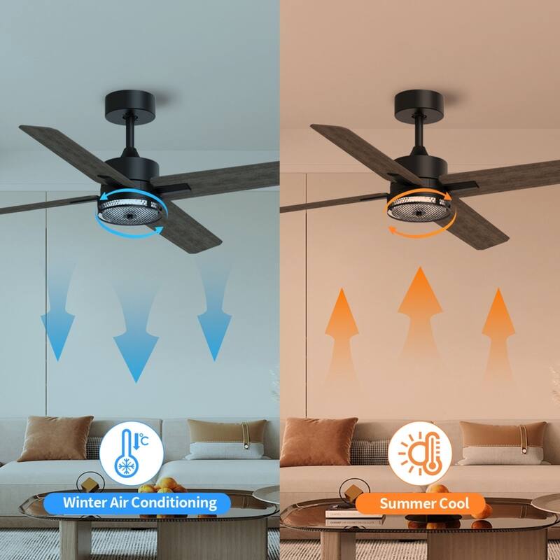 Bright Corners Modern Ceiling Fan with Light and Remote Control, Dark ...