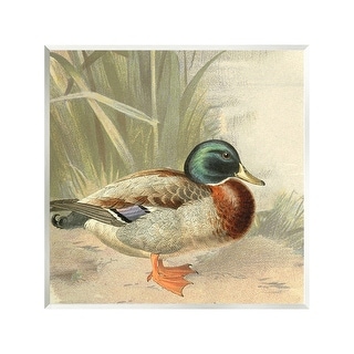 Stupell Traditional Duck & Pond Wall Plaque Art Design By Gail Fraser ...