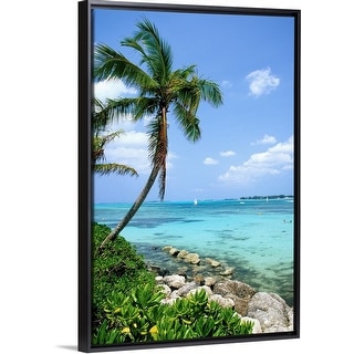"Tropical beach with palm trees and clear blue water, Bahamas" Black ...