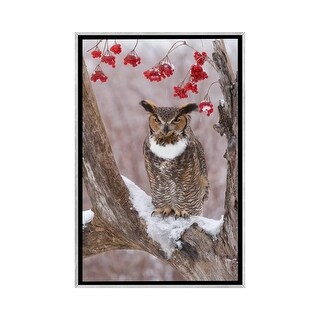 iCanvas "Great Horned Owl In Winter, Howell Nature Center, Michigan" by ...