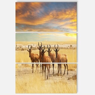Designart 'Herd of Antelope in Grassland' Extra Large African Metal ...