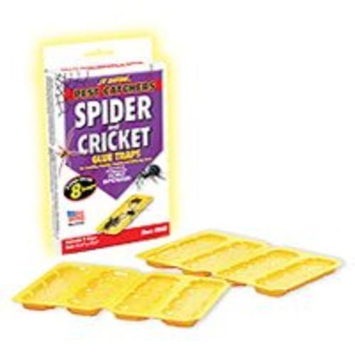 Jt Eaton 844 Spider & Cricket Trap Pack 4 - Bed Bath & Beyond - 13443581