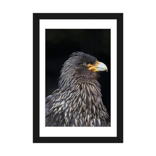 iCanvas "Falkland Caracara or Johnny Rook, protected and highly ...