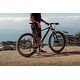 Axum Mountain Bike, 8 Speeds, Large 19 -Inch Men's Style Frame, 29-Inch ...