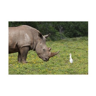 Bob Langrish 'White Rhinoceros 5' Canvas Art - Bed Bath & Beyond - 39538910