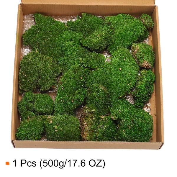 12 OZ Moss Preserved Moss Artificial Moss for Craft Floral Project ...